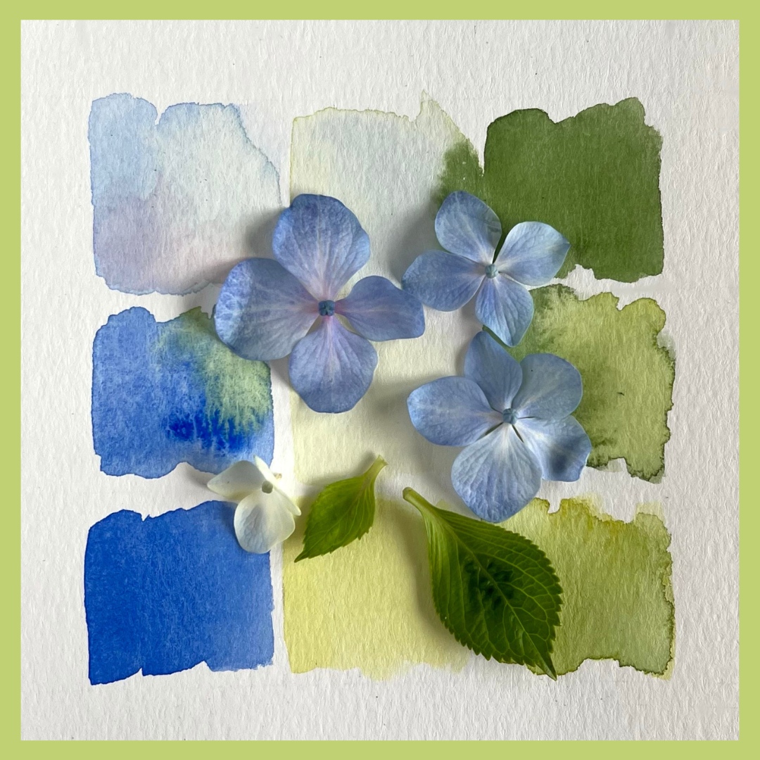 Have Fun With Color Swatches in Watercolor! - My Flower Journal