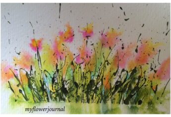 Blog - My Flower Journal