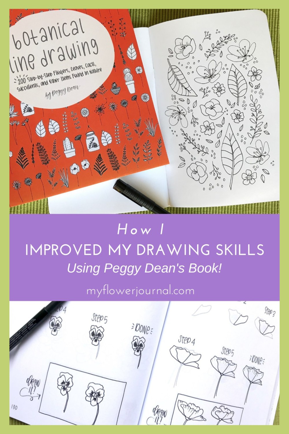 Botanical Line Drawings and Doodles